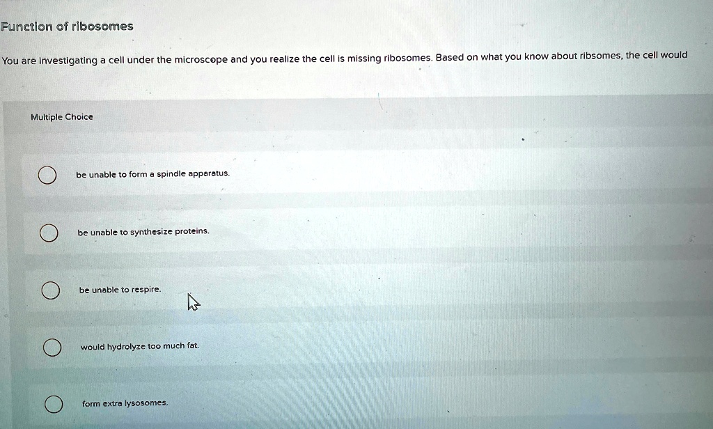 Function of ribosomes You are investigating a cell under the microscope ...