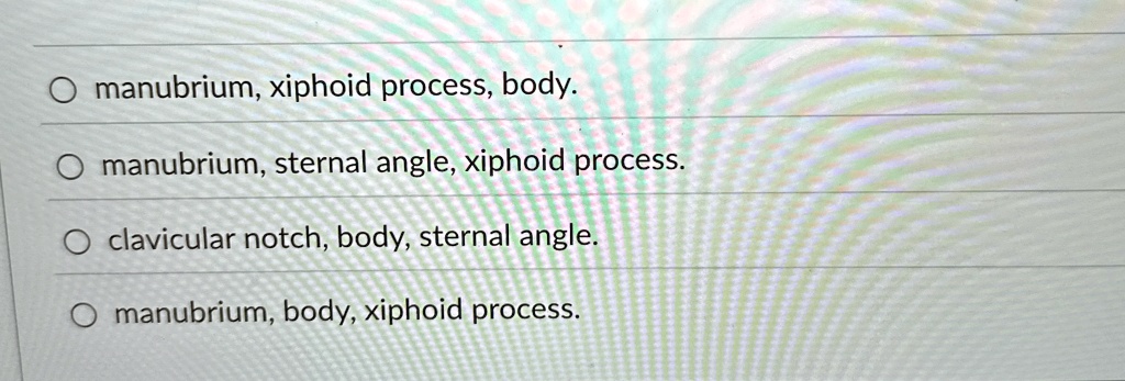 Omanubrium, xiphoid process, body. Omanubrium, sternal angle, xiphoid ...