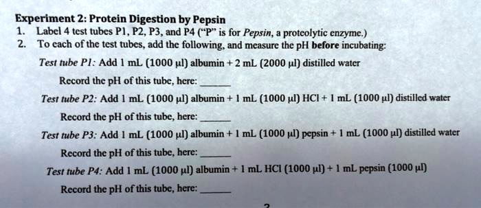 SOLVED: Experiment 2: Protein Digestion by Pepsin Labcl 4 test tubes PI ...