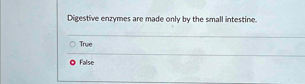 Digestive enzymes are made only by the small intestine. ? True ? False