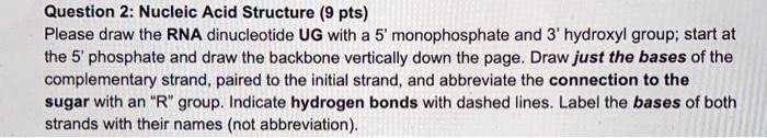 question 2 nucleic acid structure 9 pts please draw the rna ...