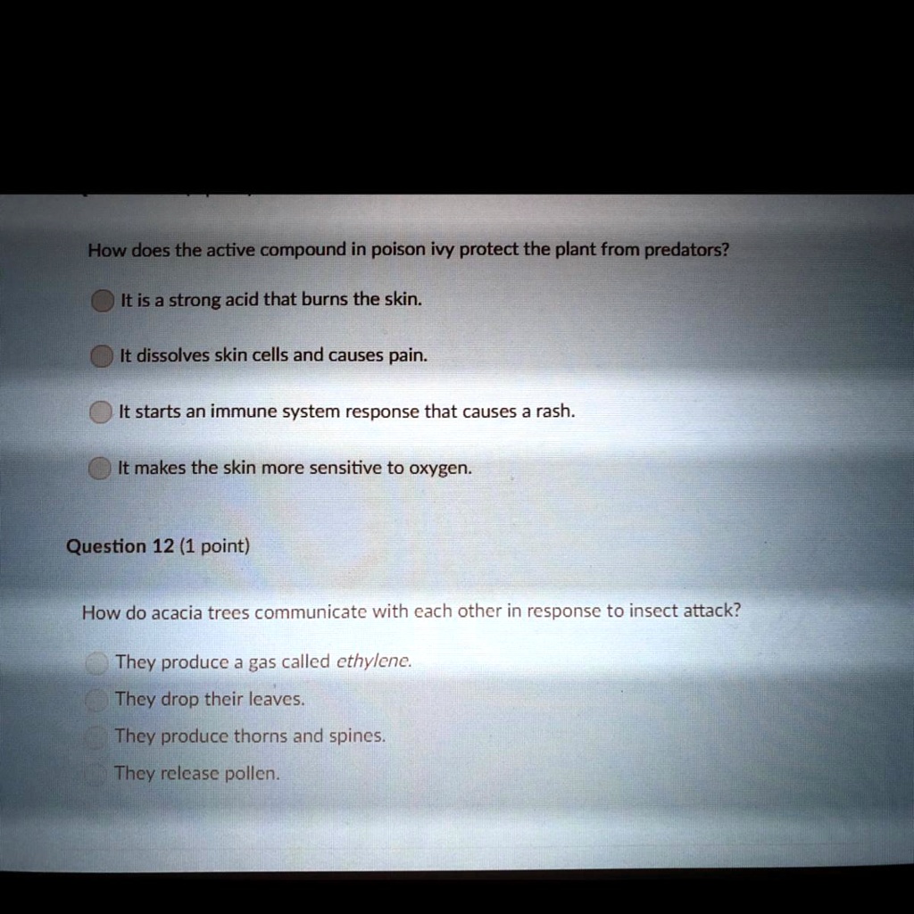 How does the active compound in poison ivy protect the plant from ...