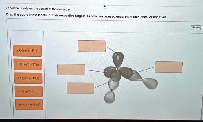 Label the bonds on the sketch of the molecule. Drag the appropriate ...