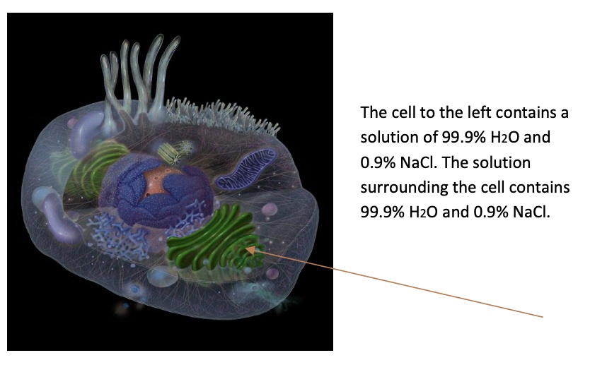 The cell to the left contains a solution of 99.9% H2O and 0.9% NaCl ...