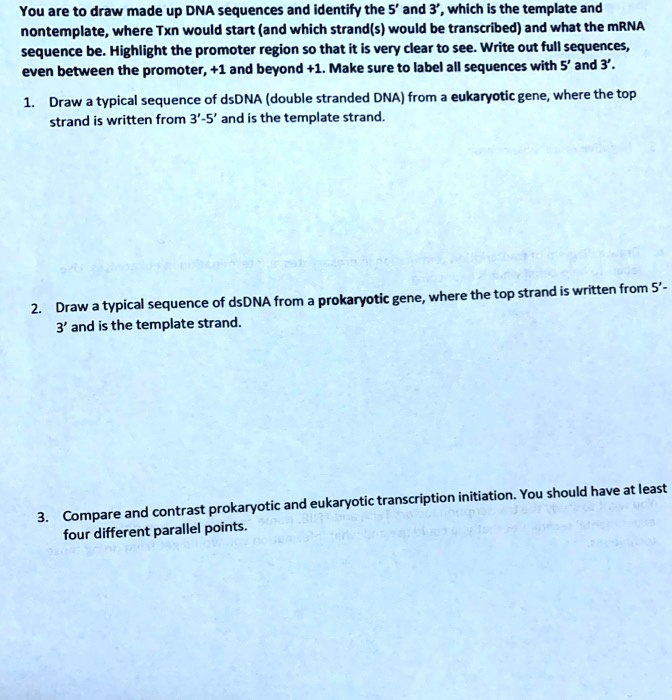 you are to draw made up dna sequences and identify the 5 and 3 which is ...