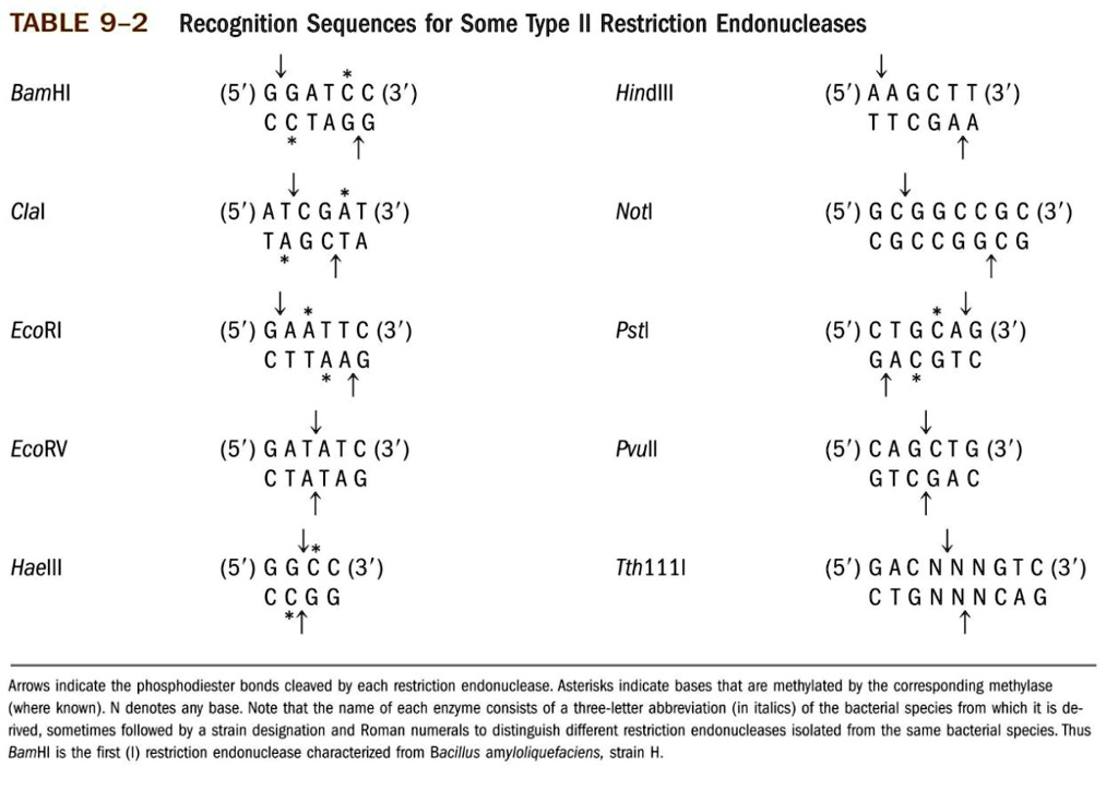 TABLE 9-2 Recognition Sequences for Some Type II Restriction Endonucleases BamHI Clal ? (5 ...