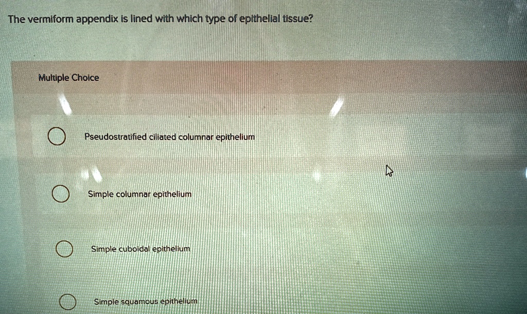 The vermiform appendix is lined with which type of epithelial tissue ...