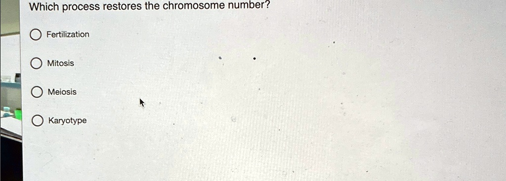 Which process restores the chromosome number? ? Fertilization ? Mitosis ...