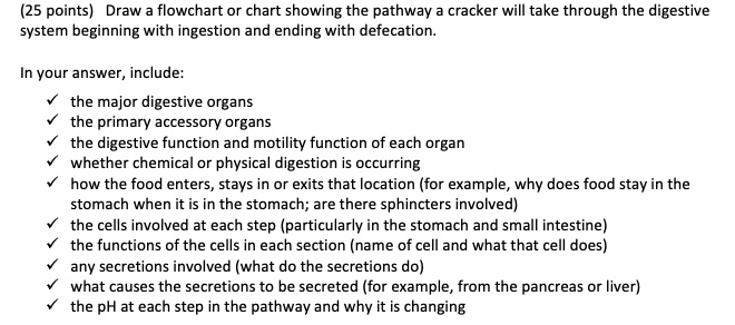 (25 points) Draw a flowchart or chart showing the pathway a cracker ...