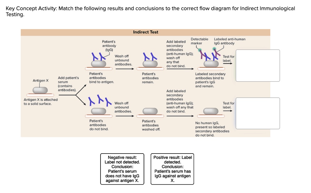 key concept activity match the following results and conclusions to the ...