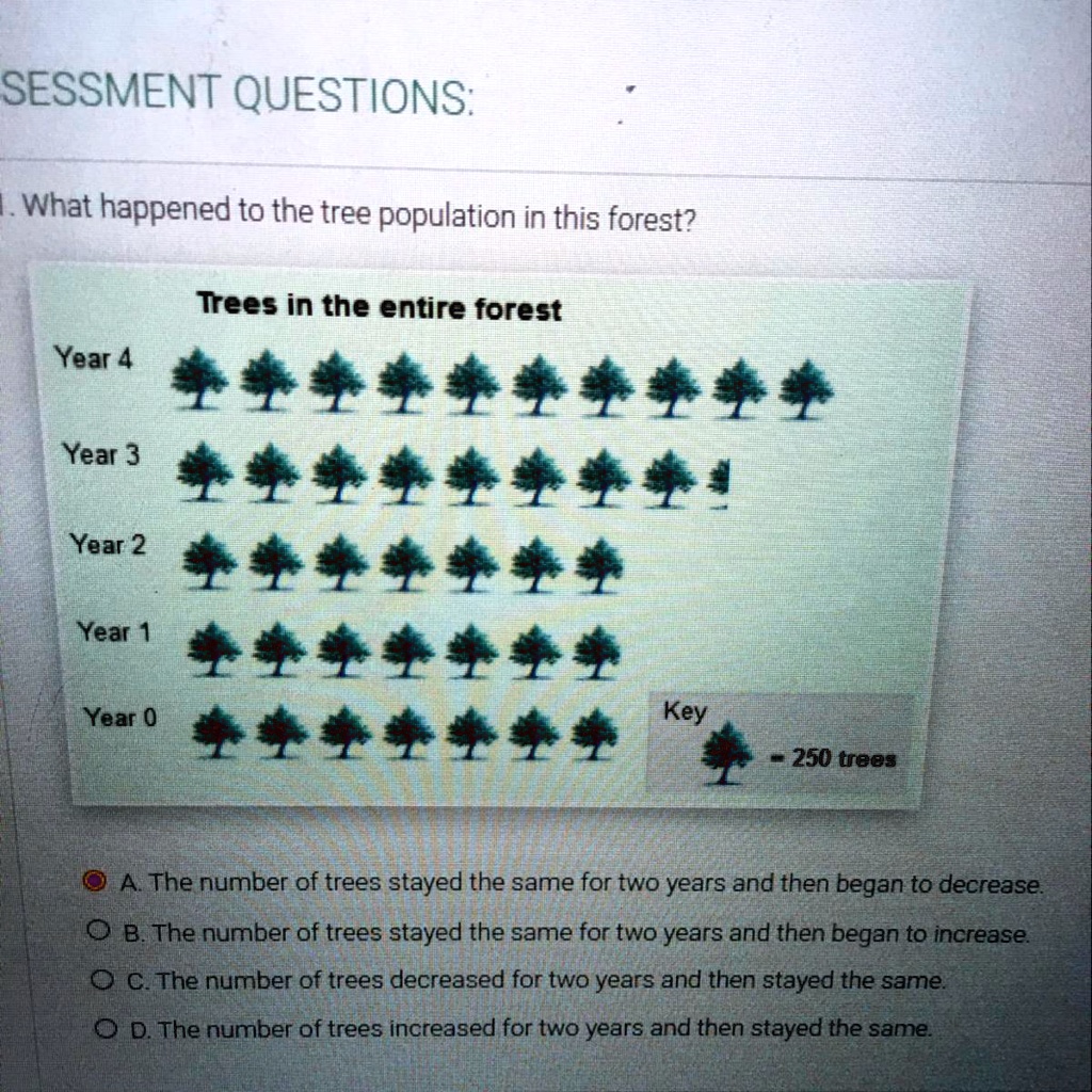 SOLVED: '1. What happened to the tree population in this forest ...