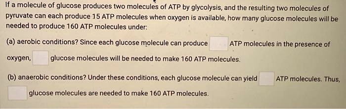 If a molecule of glucose produces two molecules of ATP by glycolysis ...