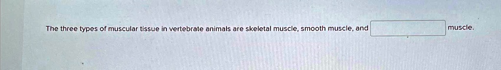 The three types of muscular tissue in vertebrate animals are skeletal ...