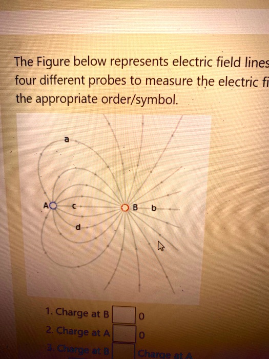 SOLVED: The Figure below represents electric field lines four different ...