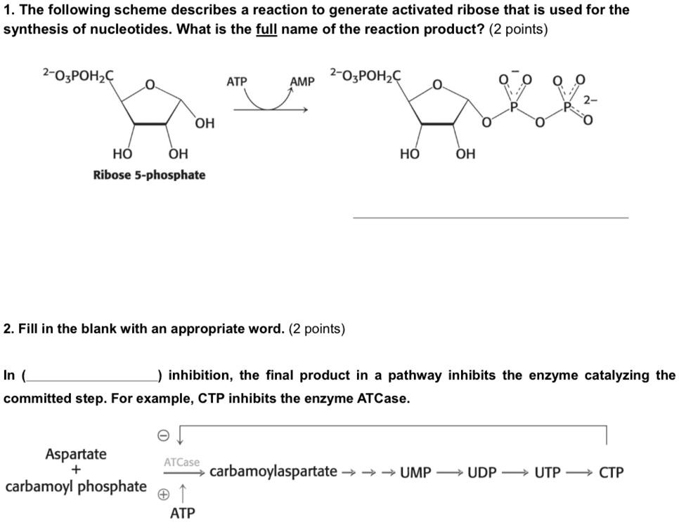 1. The following scheme describes a reaction to generate activated ...