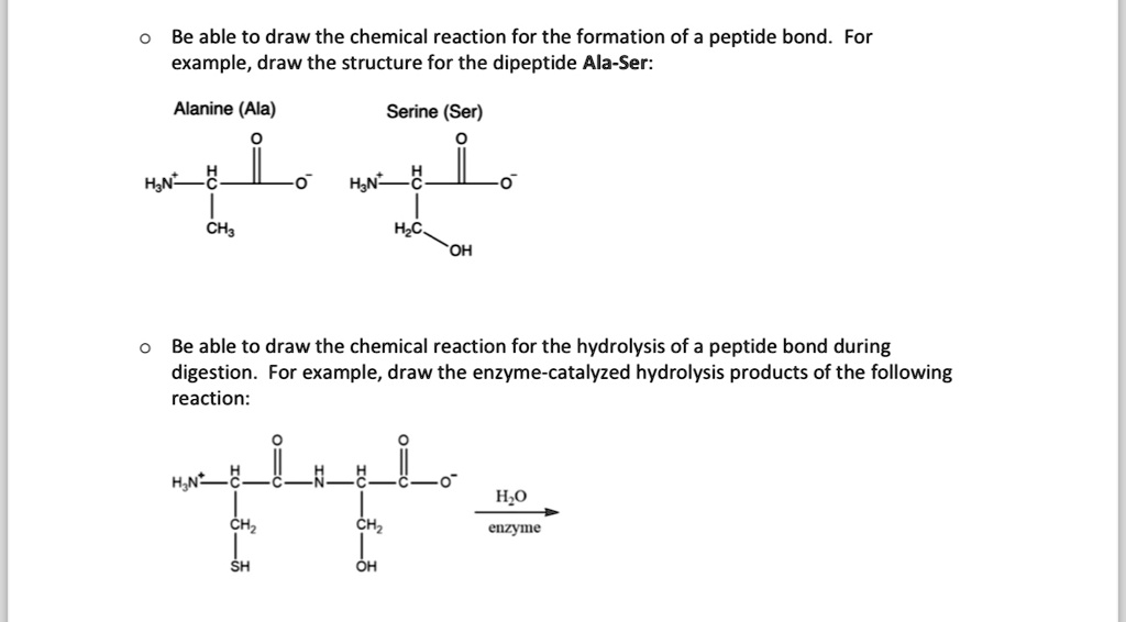 ? Be able to draw the chemical reaction for the formation of a peptide ...
