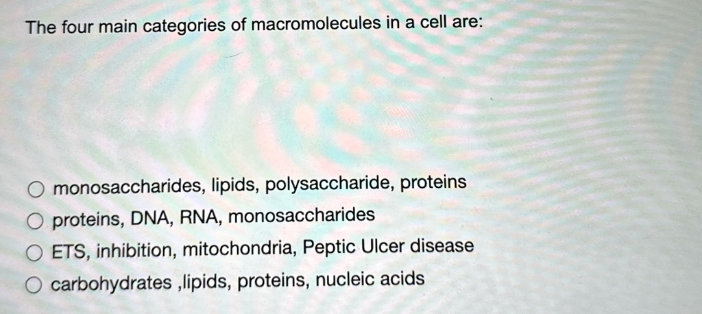 The four main categories of macromolecules in a cell are ...