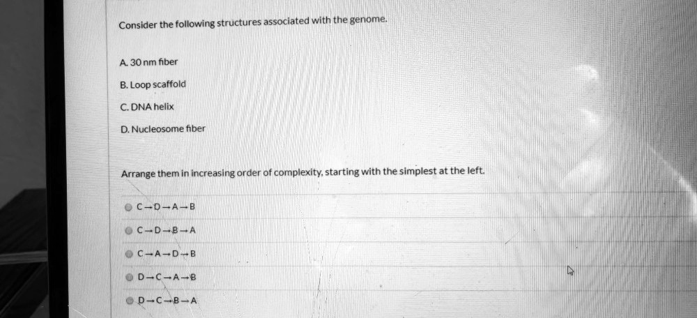 consider the following structures associated with the genome a 30nm hber b loop scaffold c dna ...