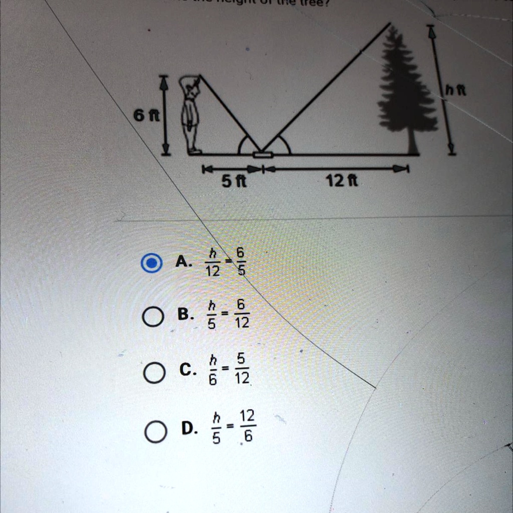 SOLVED: 'The figure shows a person estimating the height of a tree by ...