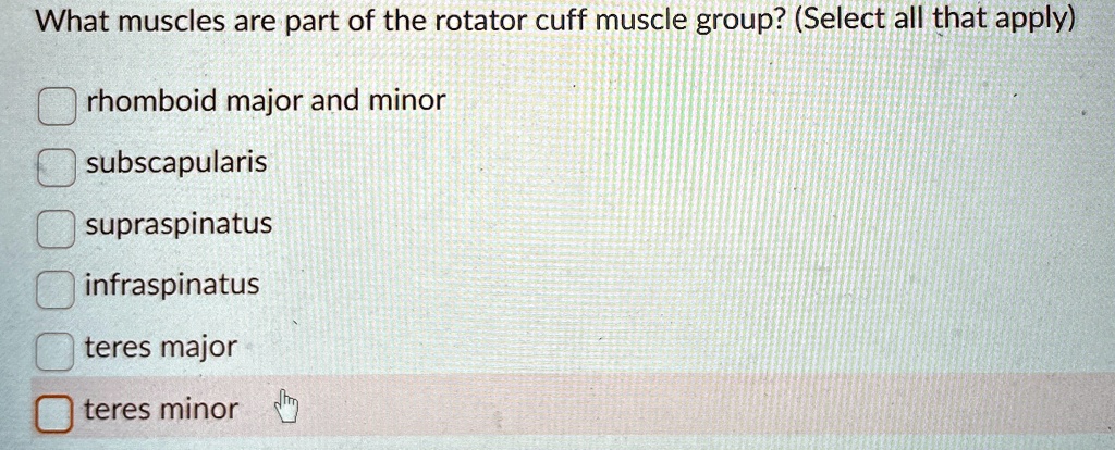 what muscles are part of the rotator cuff muscle group select all that ...