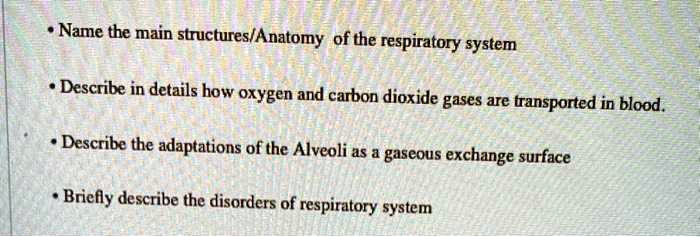 SOLVED: Name the main structures/anatomy of the respiratory system ...