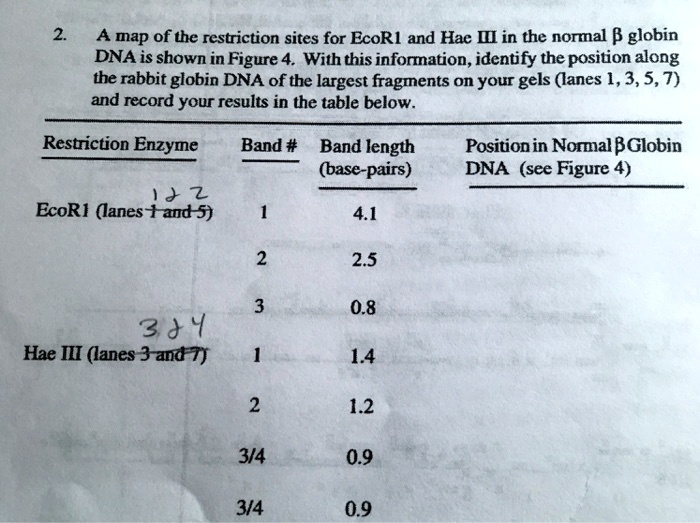 2. A map of the restriction sites for EcoR1 and Hae III in the normal β ...