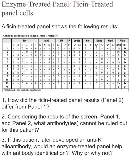 SOLVED: Enzyme-Treated Panel: Ficin-Treated panel cells A ficin-treated ...