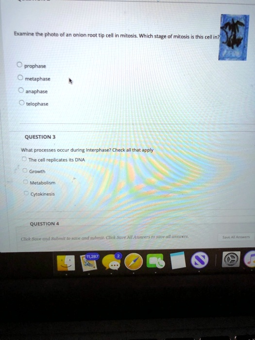 Examine the photo of an onion root tip cell in mitosis. Which stage of ...