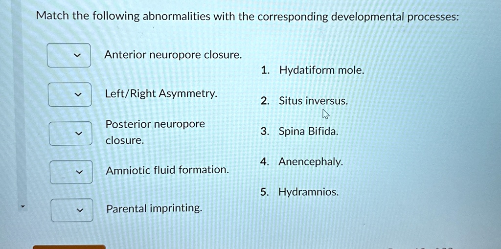 Match the following abnormalities with the corresponding developmental ...