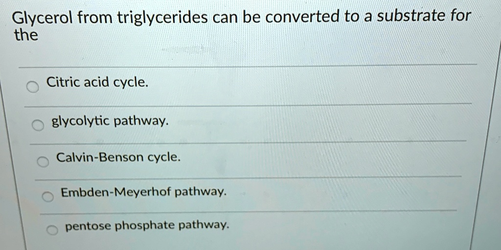 glycerol from triglycerides can be converted to a substrate for the ...