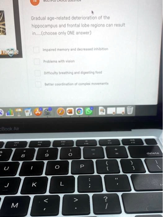 gradual age related deterioration of the hippocampus and frontal lobe ...