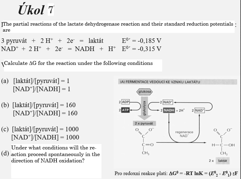 SOLVED: The partial reactions of the lactate dehydrogenase reaction and ...