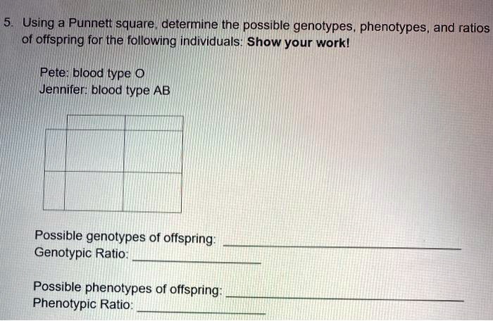 SOLVED: Using a Punnett square, determine the possible genotypes ...