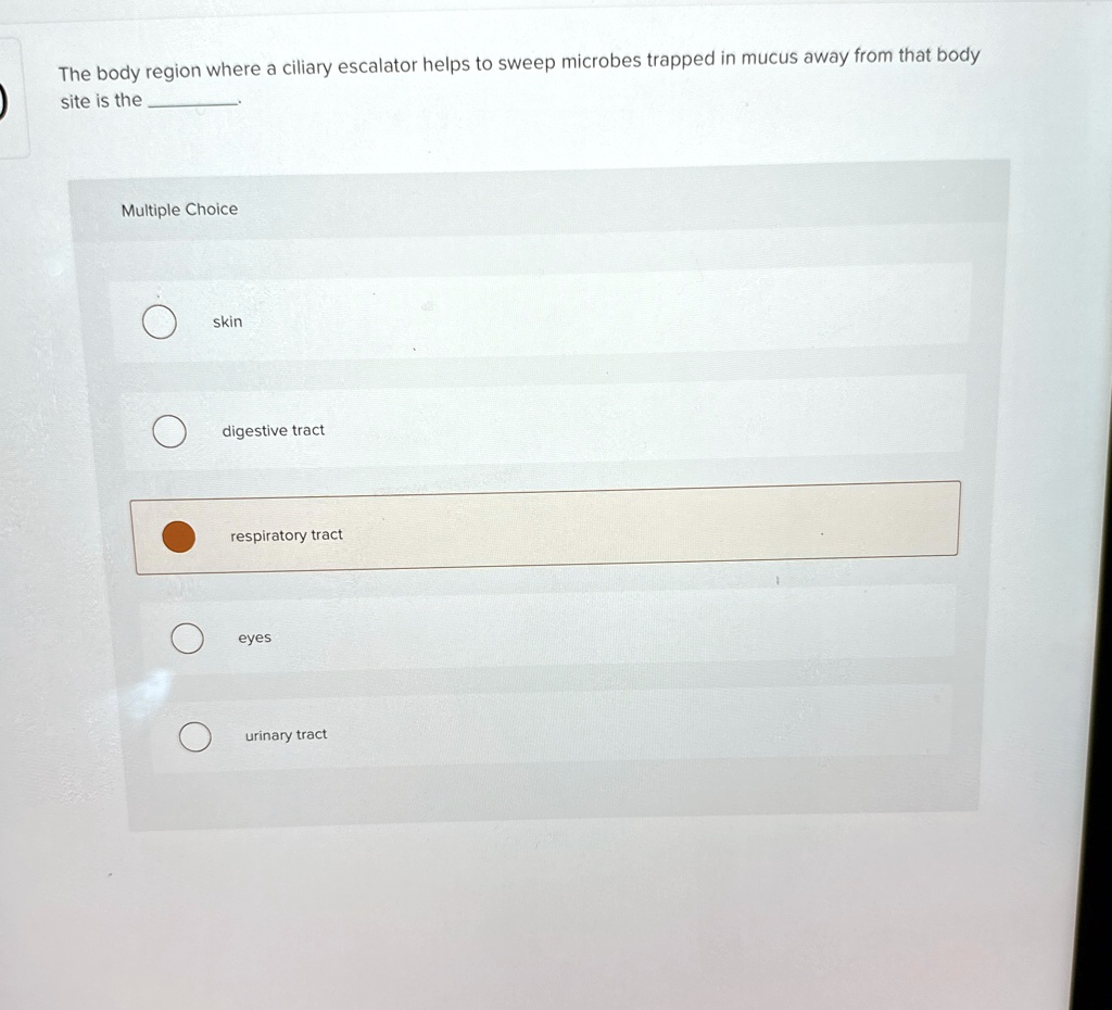 the body region where a ciliary escalator helps to sweep microbes ...