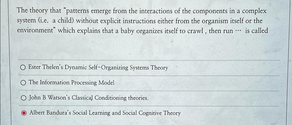 The theory that "patterns emerge from the interactions of the ...