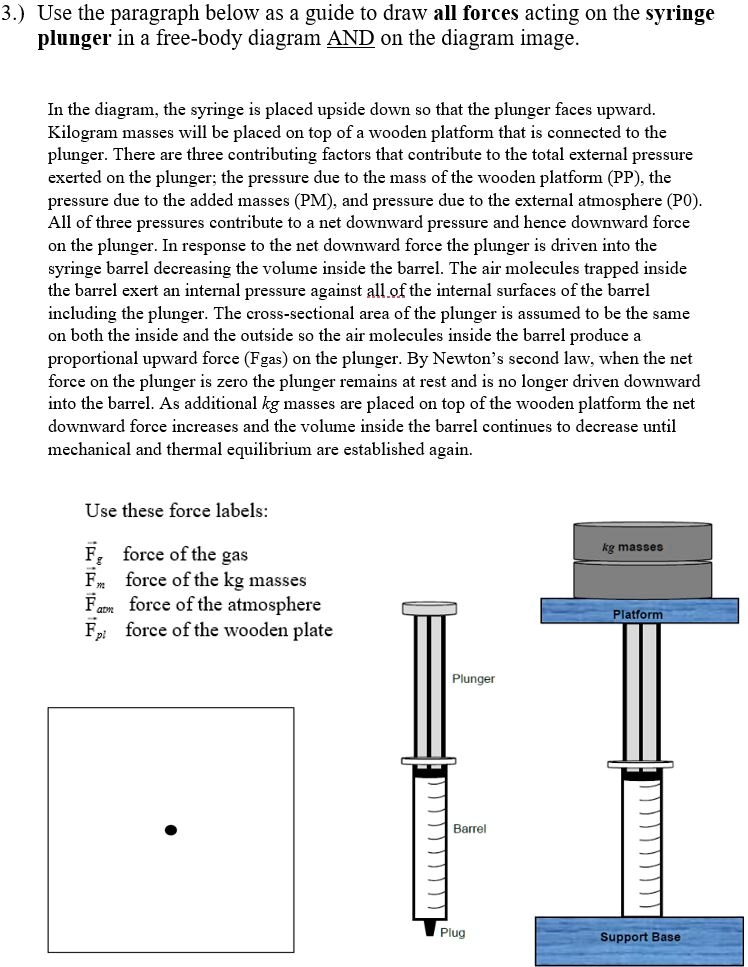 SOLVED: 3.) Use the paragraph below as a guide to draw all forces ...