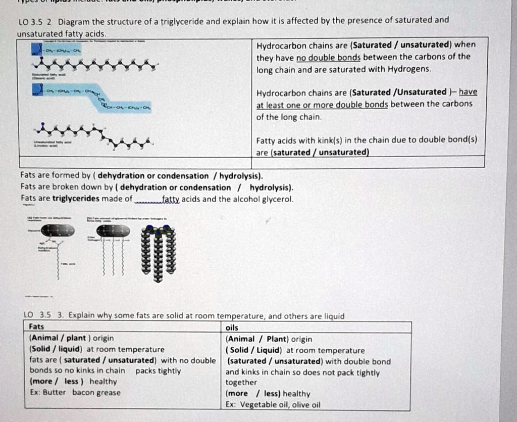 SOLVED: Texts: LO 3.5 2: Diagram the structure of a triglyceride and ...