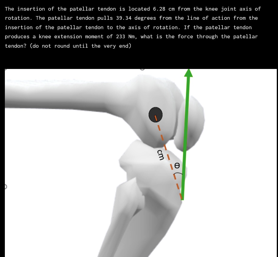 [GET ANSWER] The insertion of the patellar tendon is located 6.28 cm ...