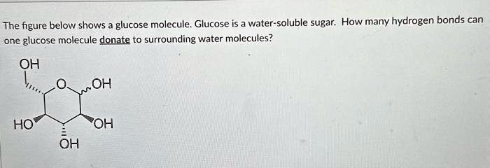 The figure below shows a glucose molecule. Glucose is a water-soluble ...