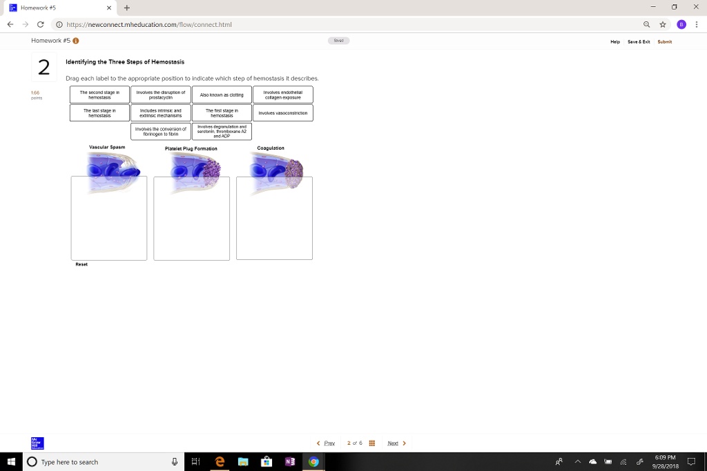 Homework #5 2 Identifying the Three Steps of Hemostasis Drag each label ...