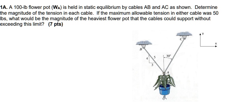 SOLVED: pls explain 1A.A 100-lb flower pot (WA is held in static ...