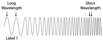 SOLVED: 'PLEASE ANSWER A student is making a model of the ...