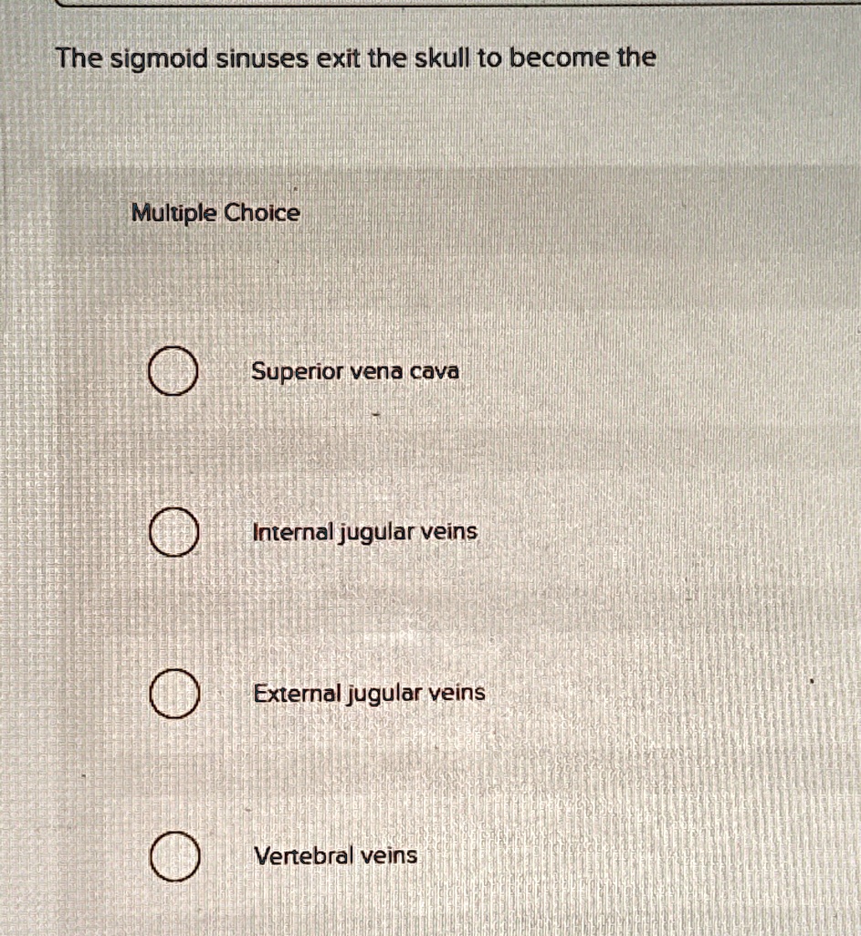 the sigmoid sinuses exit the skull to become the multiple choice ...