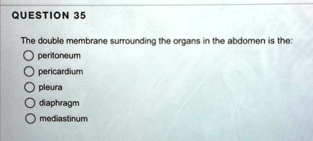 The double membrane surrounding the organs in the abdomen is the ...