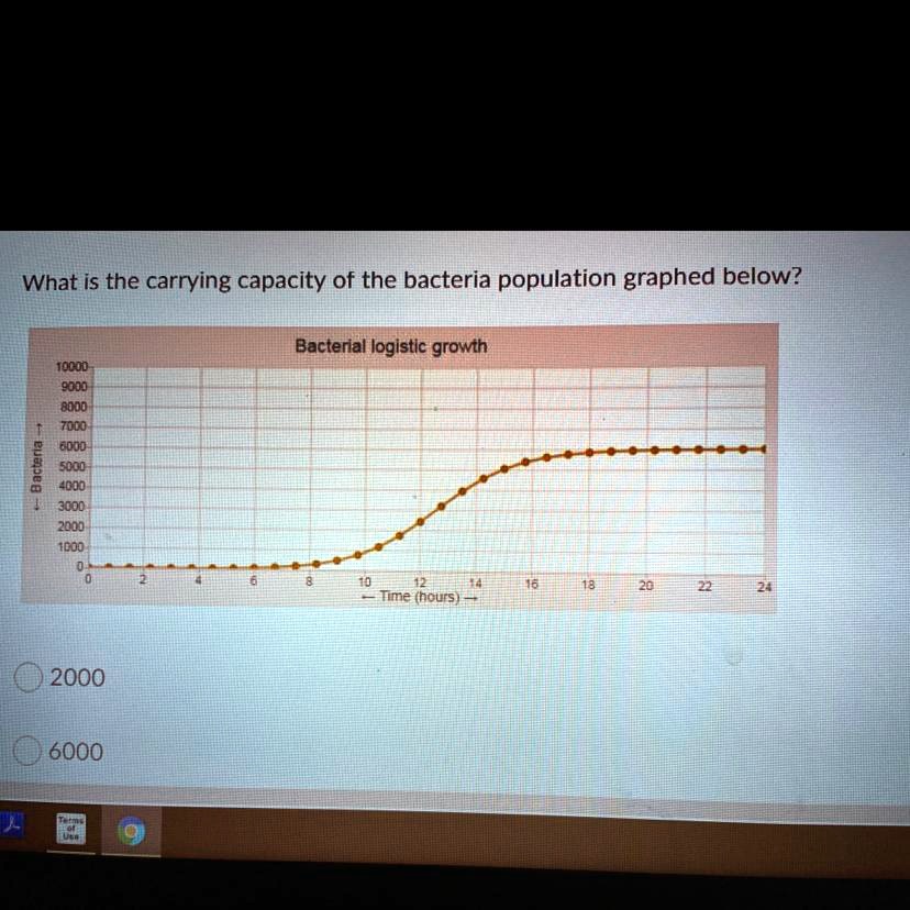 SOLVED: ' What is the carrying capacity of the bacteria population ...