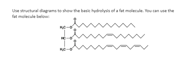 Use structural diagrams to show the basic hydrolysis of a fat molecule ...