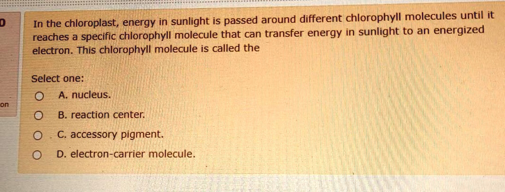 SOLVED: In the chloroplast; energy in sunlight is passed around ...