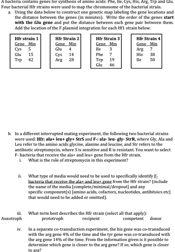 a bacteria contains genes tor synthesis of amino acids phe ile cys his ...