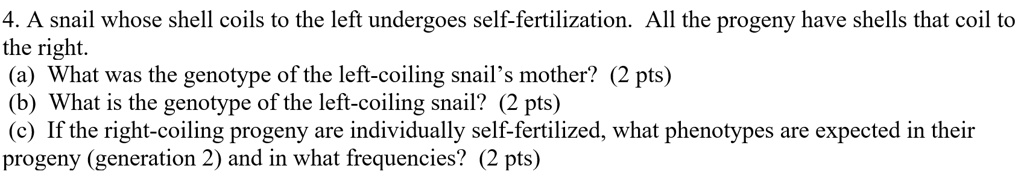 SOLVED: A snail whose shell coils to the left undergoes self ...