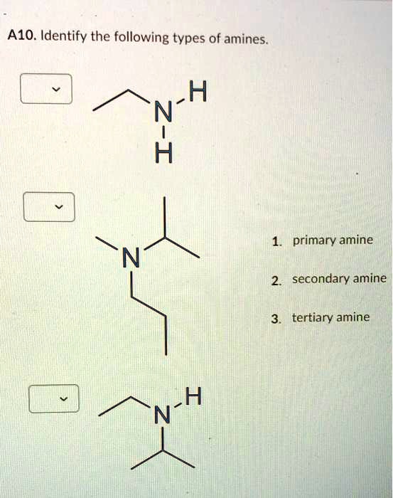 SOLVED: A1o. Identify the following types of amines. .H N primary amine ...